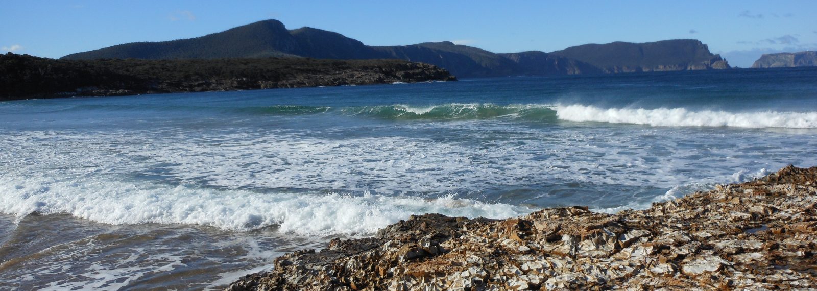 Tasman Council | A Natural Escape